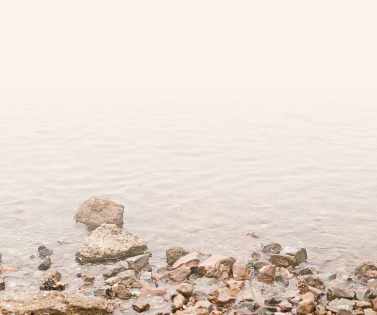 Acerca de René Mey - Fundación Internacional René Mey